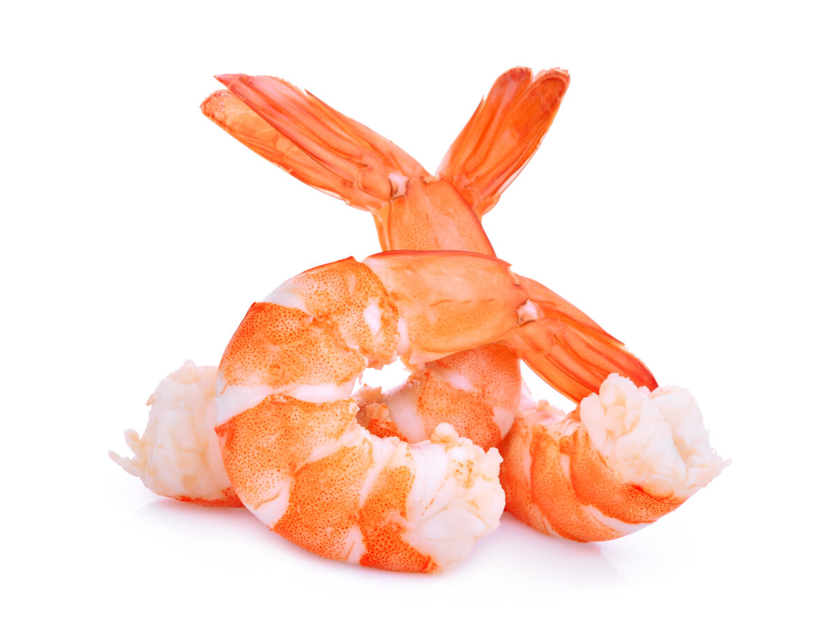 Oregon Bay Shrimp - WordPress